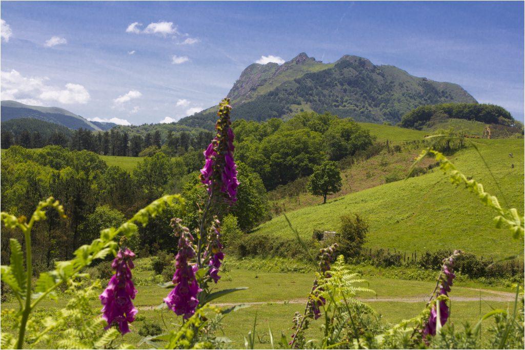 Euskadi Destinations - Discover the Basque Country