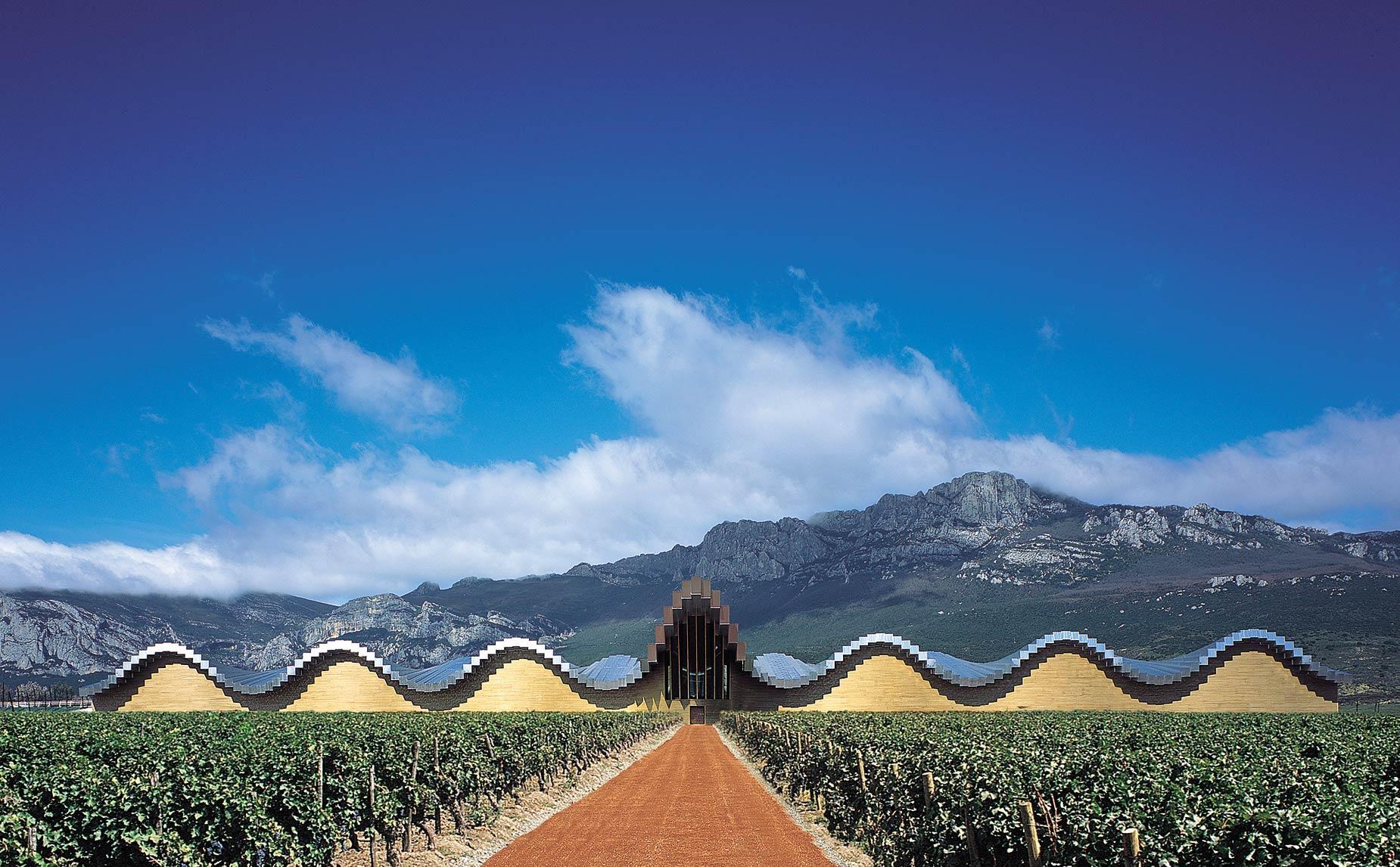 Discover the wine route in the Basque Country